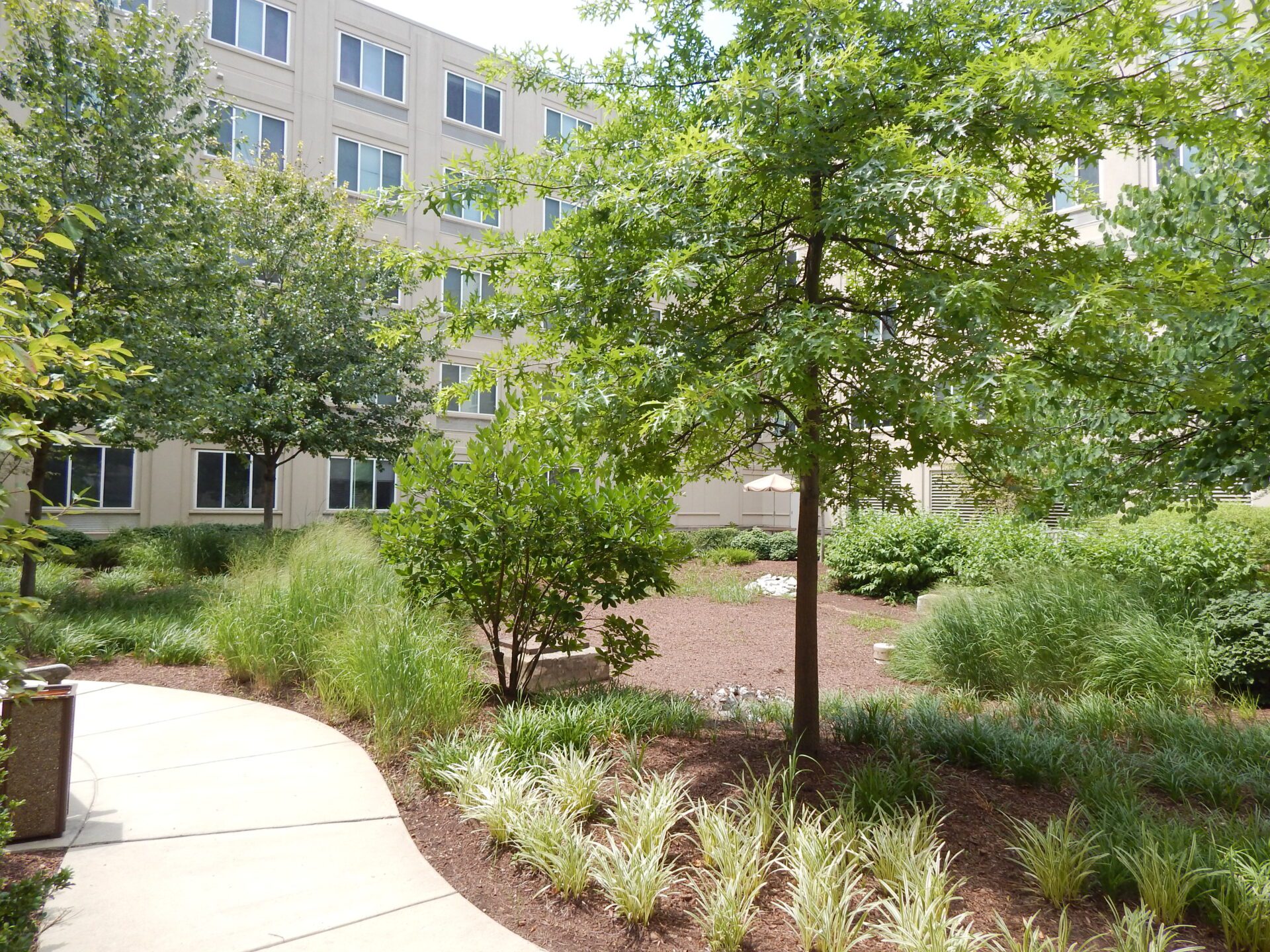 Affordable Apartments In Washington, DC | 400 M